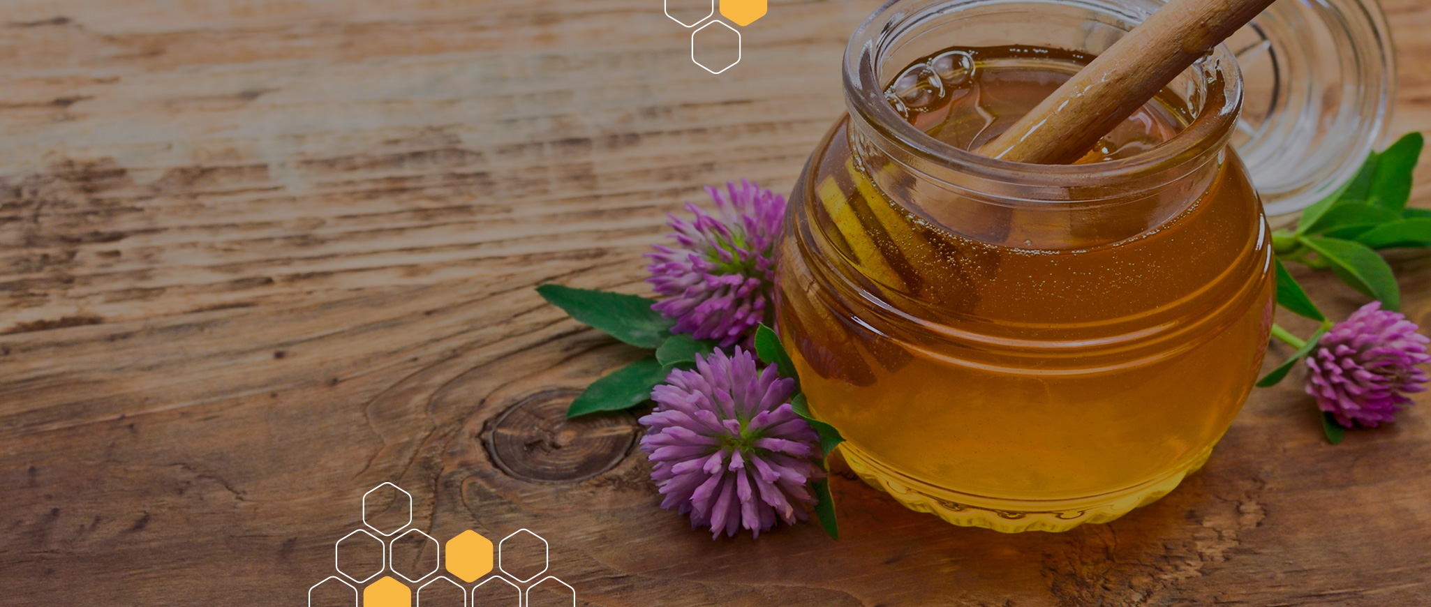 Buy Real Honey from Natural Raw Honey Sources!