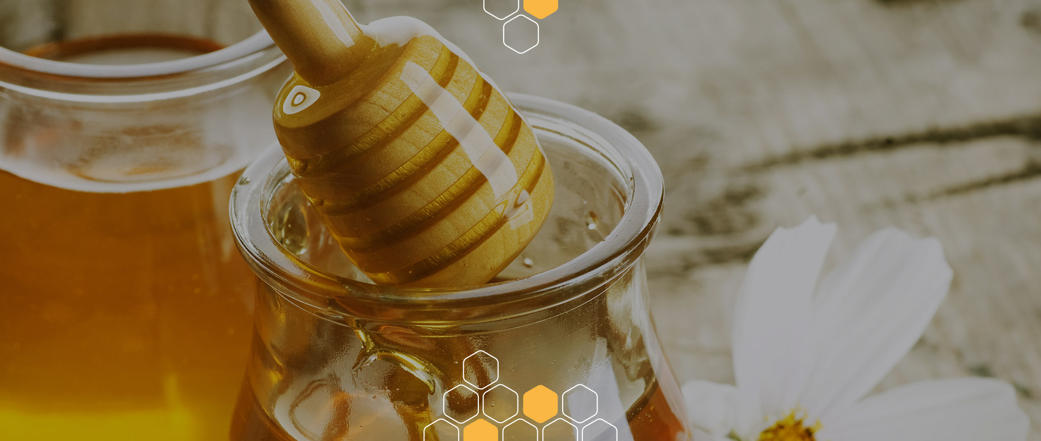Buy Real Honey from Natural Raw Honey Sources!